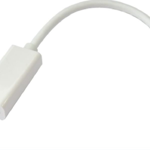 Astrotek Mini DisplayPort DP to HDMI Cable 1m - 20 pins Male to 19 pins ...