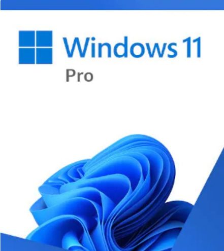 Microsoft Windows 11 Professional 64-bit USB Flash Drive Retail Pack Full Package Product | Free ...